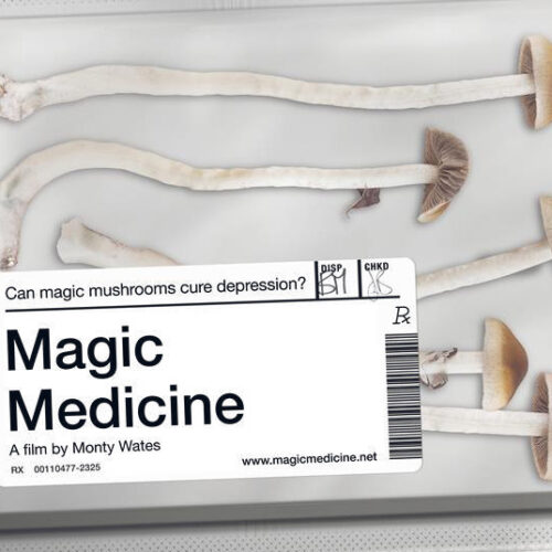 The Secrets of the Psychedelic Mushroom Ceremony explained
