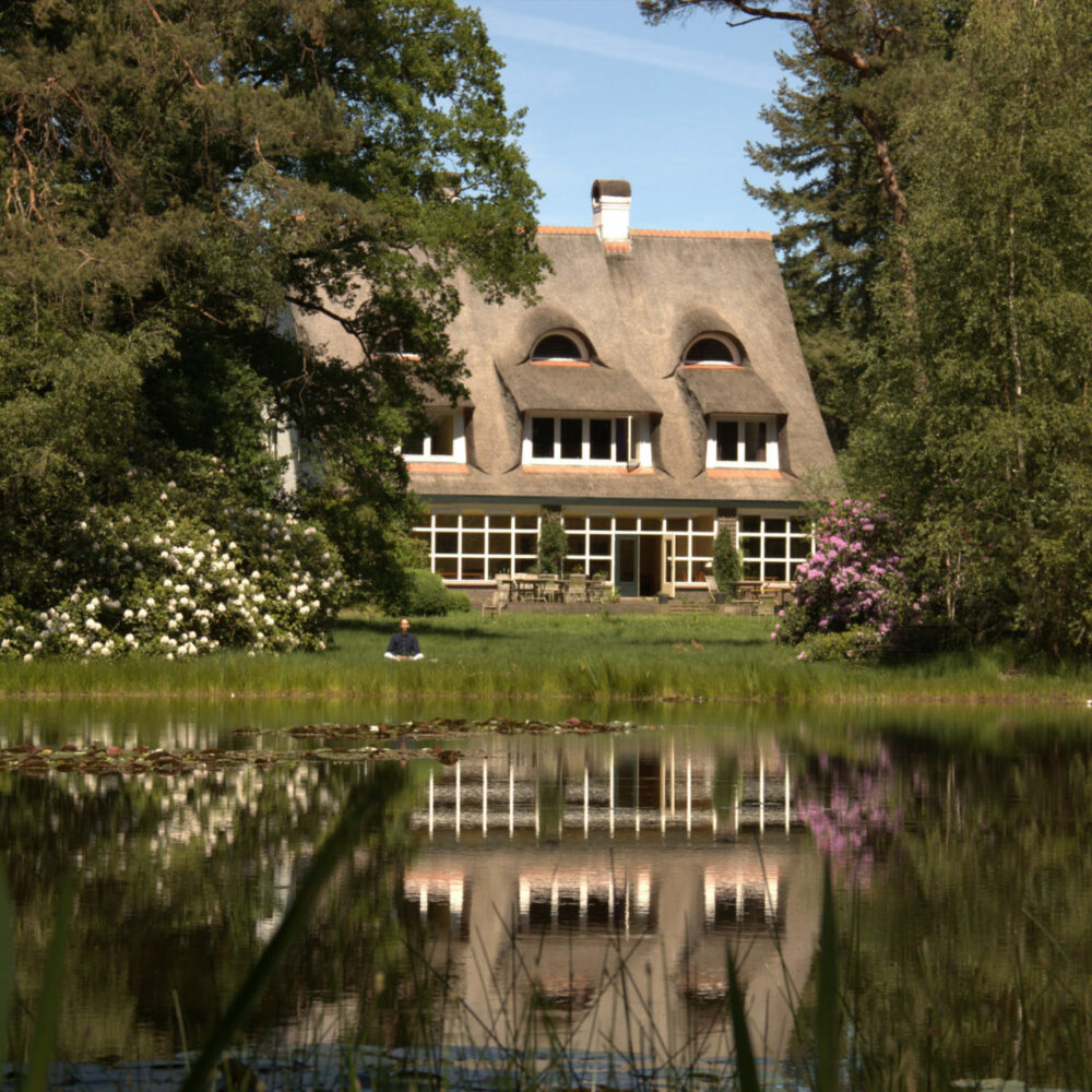 Psilocybin retreats • Psychedelic retreat in the Netherlands